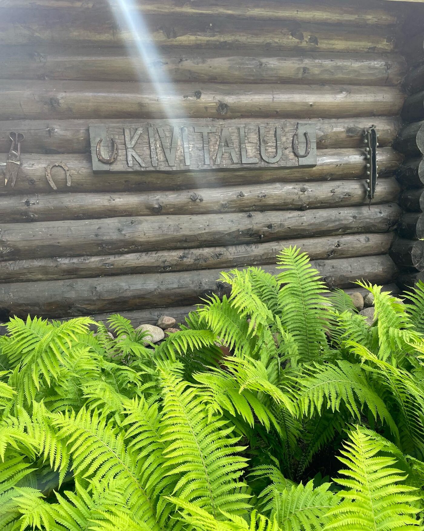 Sauna- ja basseinimaja — Kivitalu